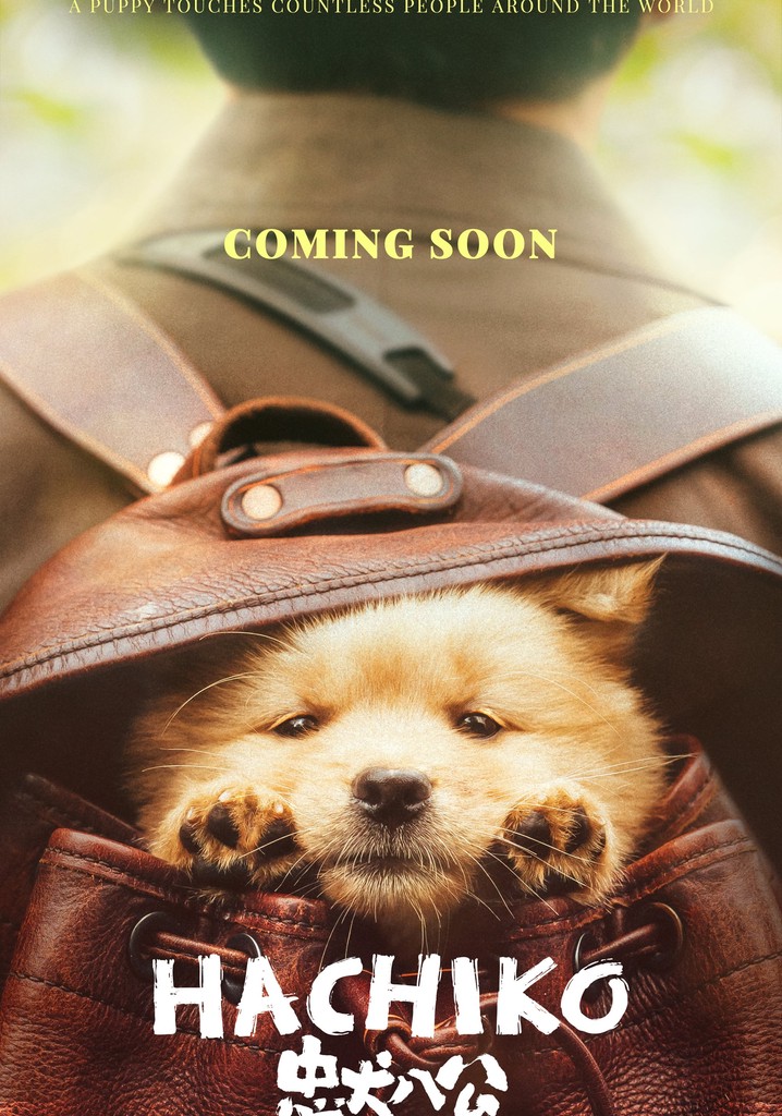 Hachiko - película: Ver online completas en español